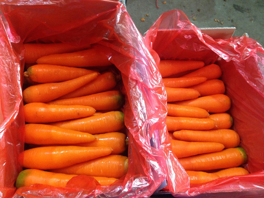 VIETNAM FRESH CARROT - ElmarSpices Company