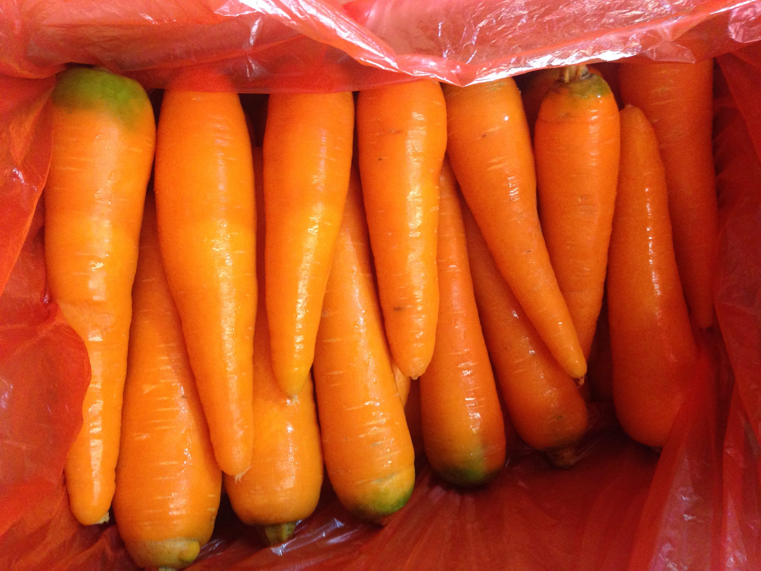FRESH CARROT - ElmarSpices Company