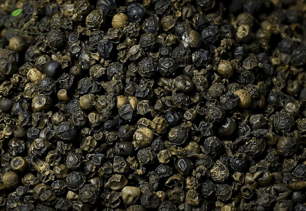 BLACK PEPPER ASTA WHOLE STERILIZED, BLACK PEPPER GROUND