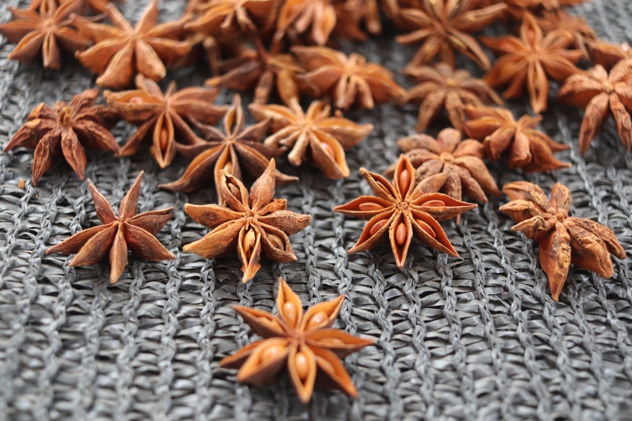 THE BENEFITS OF STAR ANISE