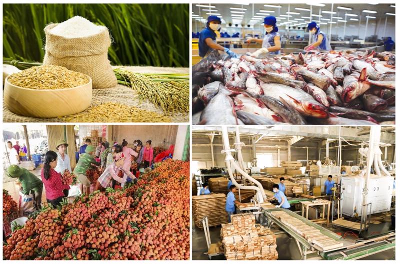 AGRICULTURAL EXPORT SAW A TRADE SURPLUS OF NEARLY 4 BILLION USD IN 4 ...