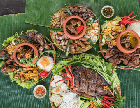 MICHELIA TONKINENSIS – GOLD MINE OF THE MUONG PEOPLE