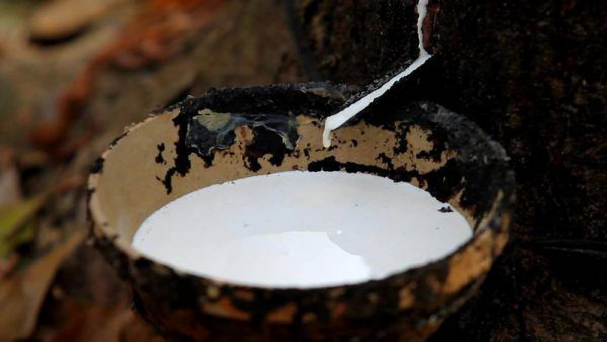 NATURAL RUBBER EXPORTS SET A RECORD OF 3.31 BILLION USD