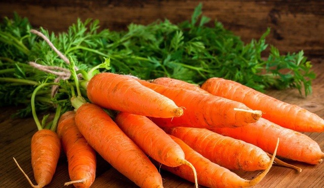 CARROT IS ENTERING THE EXPORT SEASON