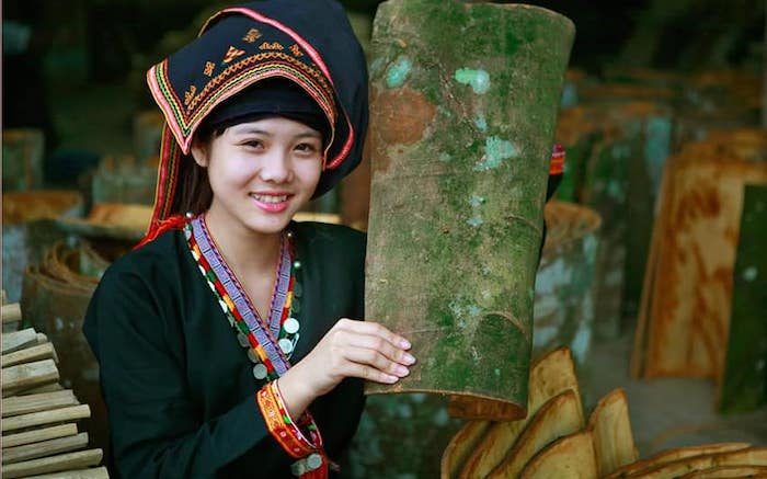 STRENGTHENING PRODUCTION LINKS AND ENHANCING THE VALUE CHAIN OF CINNAMON