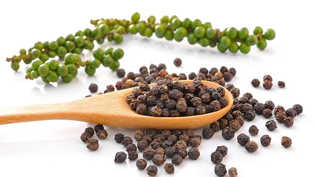 PEPPER EXPORTS SHOW POSITIVE SIGNS OF RECOVERY