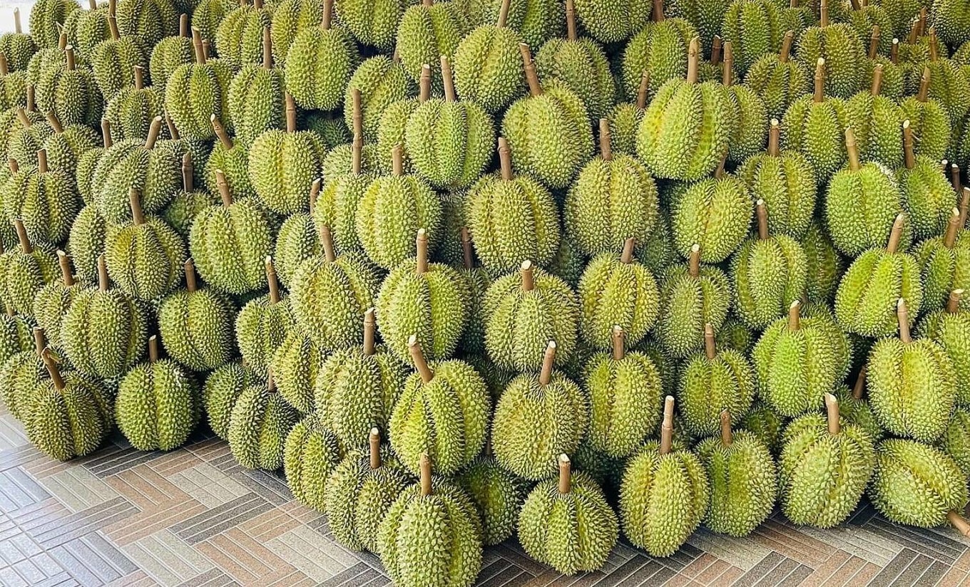 DURIAN LEADS FRUIT EXPORT TURNOVER