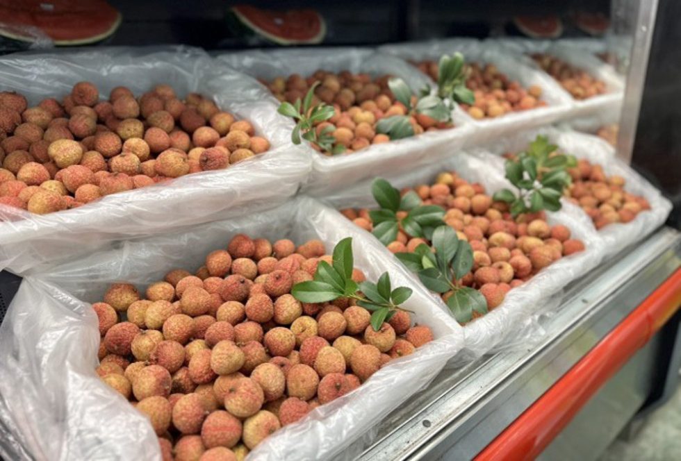 20 TONS OF VIETNAM’S LYCHEE ARE DISTRIBUTED TO MAJOR SUPERMARKET IN THE US