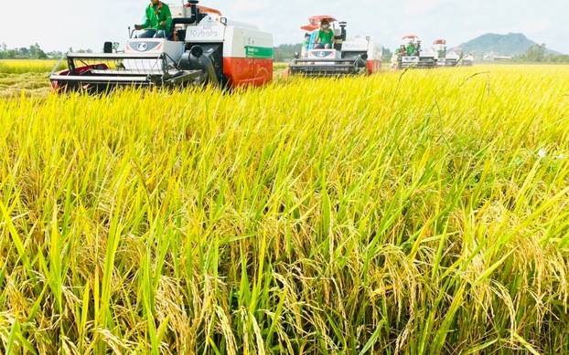 VIETNAM’S RICE EXPORT PRICES CONTINUE TO SET A NEW RECORD