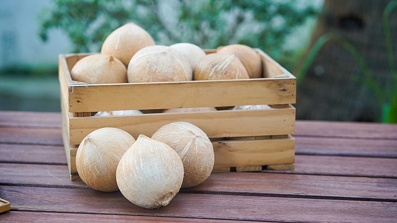 COCONUT EXPORTS IN 2024 MAY REACH ONE BILLION USD