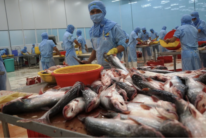 MORE OPPORTUNITIES FOR VIETNAM’S CATFISH IN THE US AND EU MARKETS