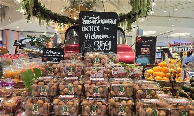 UNIQUE PROMOTION OF VIETNAMESE LYCHEE IN THAILAND