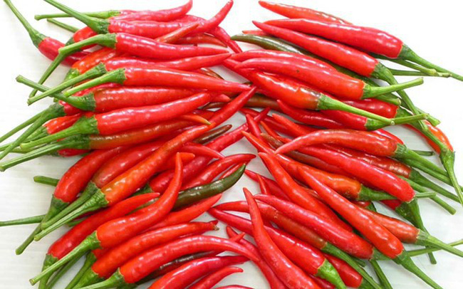 VIETNAM IS ONE OF THE LARGEST CHILI-PRODUCING COUNTRIES IN THE WORLD