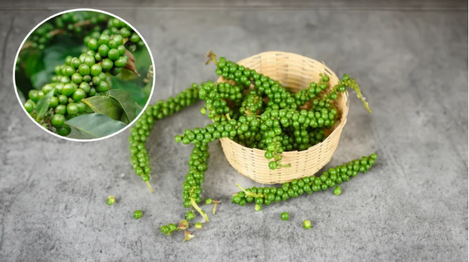 PEPPER IMPORTS HAVE INCREASED SHARPLY, NEARING THE RECORD LEVEL OF 2021