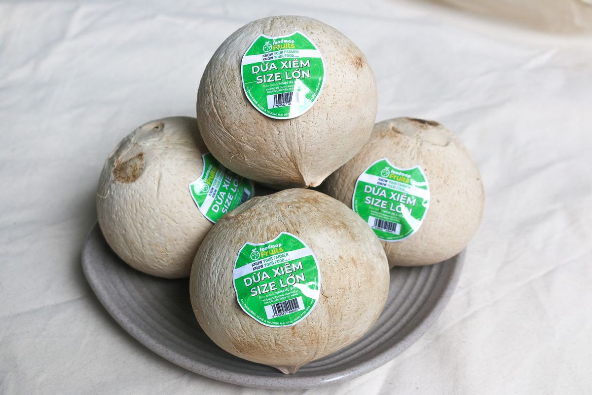 COCONUT EXPORT IS A BRIGHT SPOT IN THE FIRST HALF OF 2025